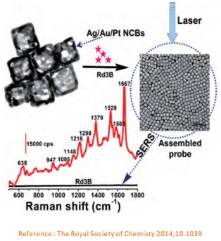 拉曼應用--SERS -佐信科技ProTrusTech